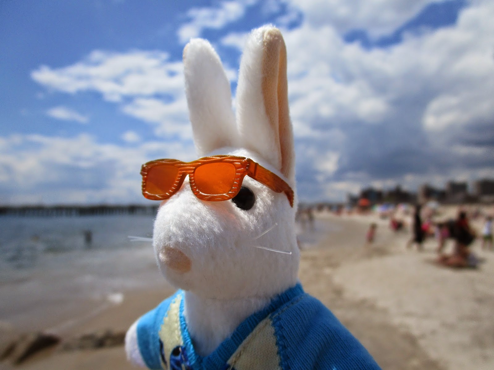 "Sweetness, and Light": "Bob the Bunny Goes to the Beach!"
